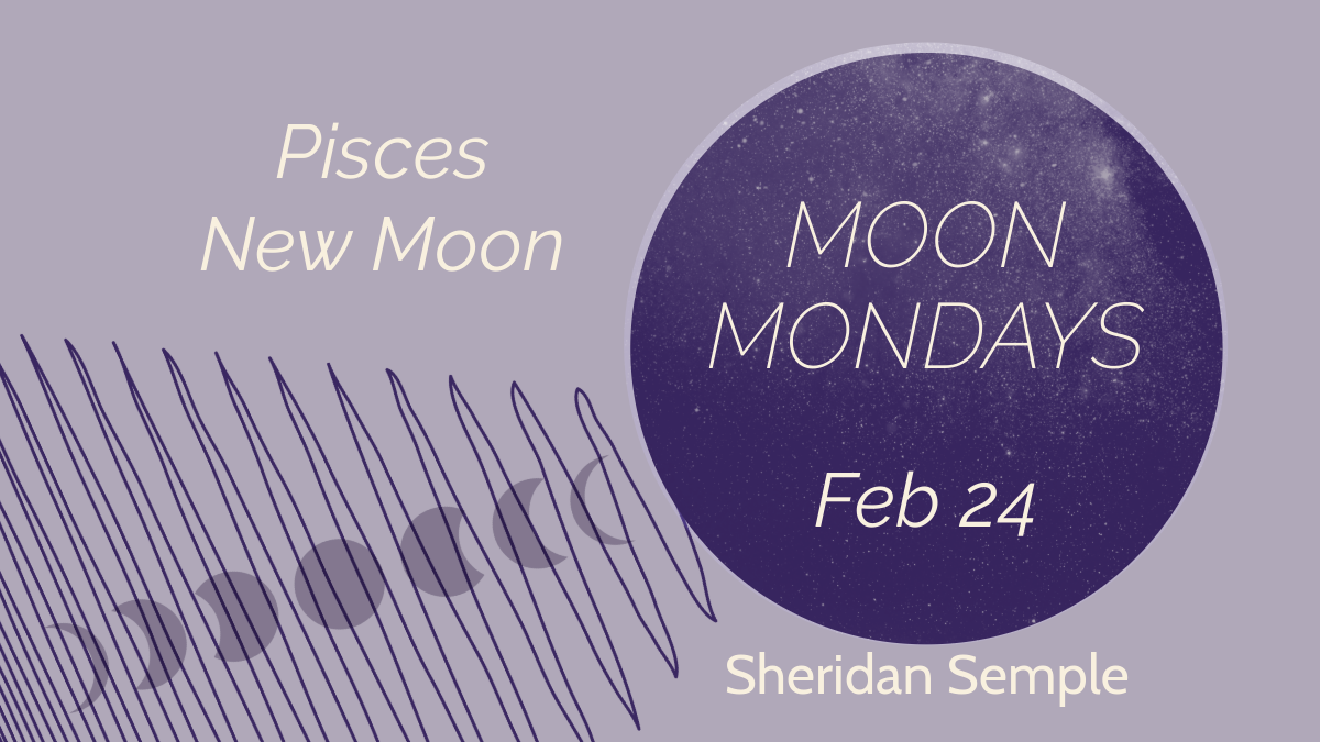 Moon Mondays — Feb. 24, 2025 - Sheridan Semple